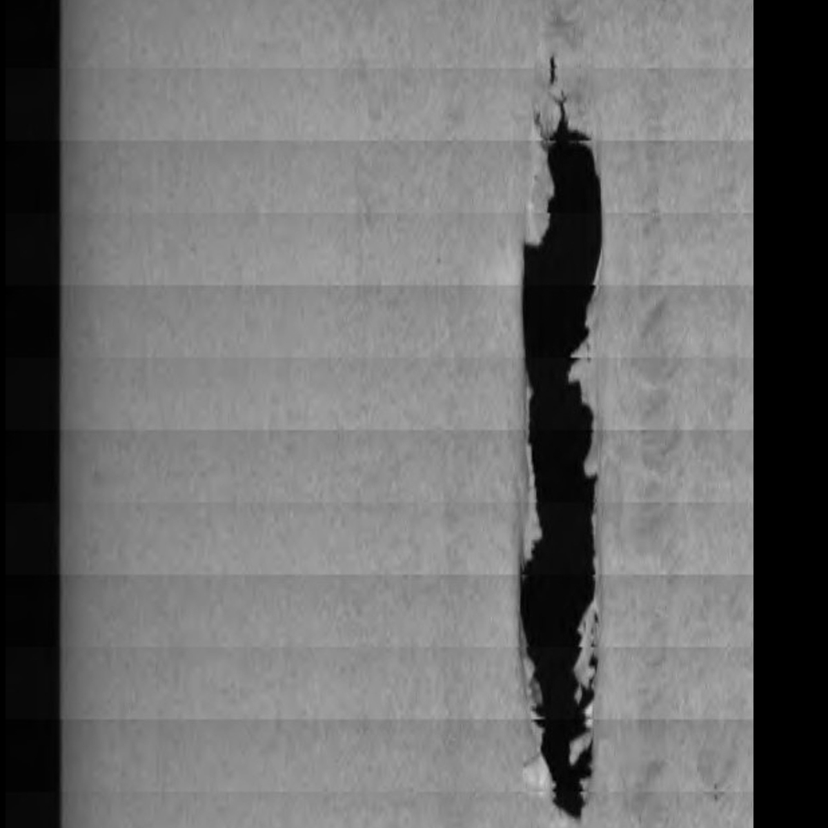 Web Inspection for Tissue - Procemex